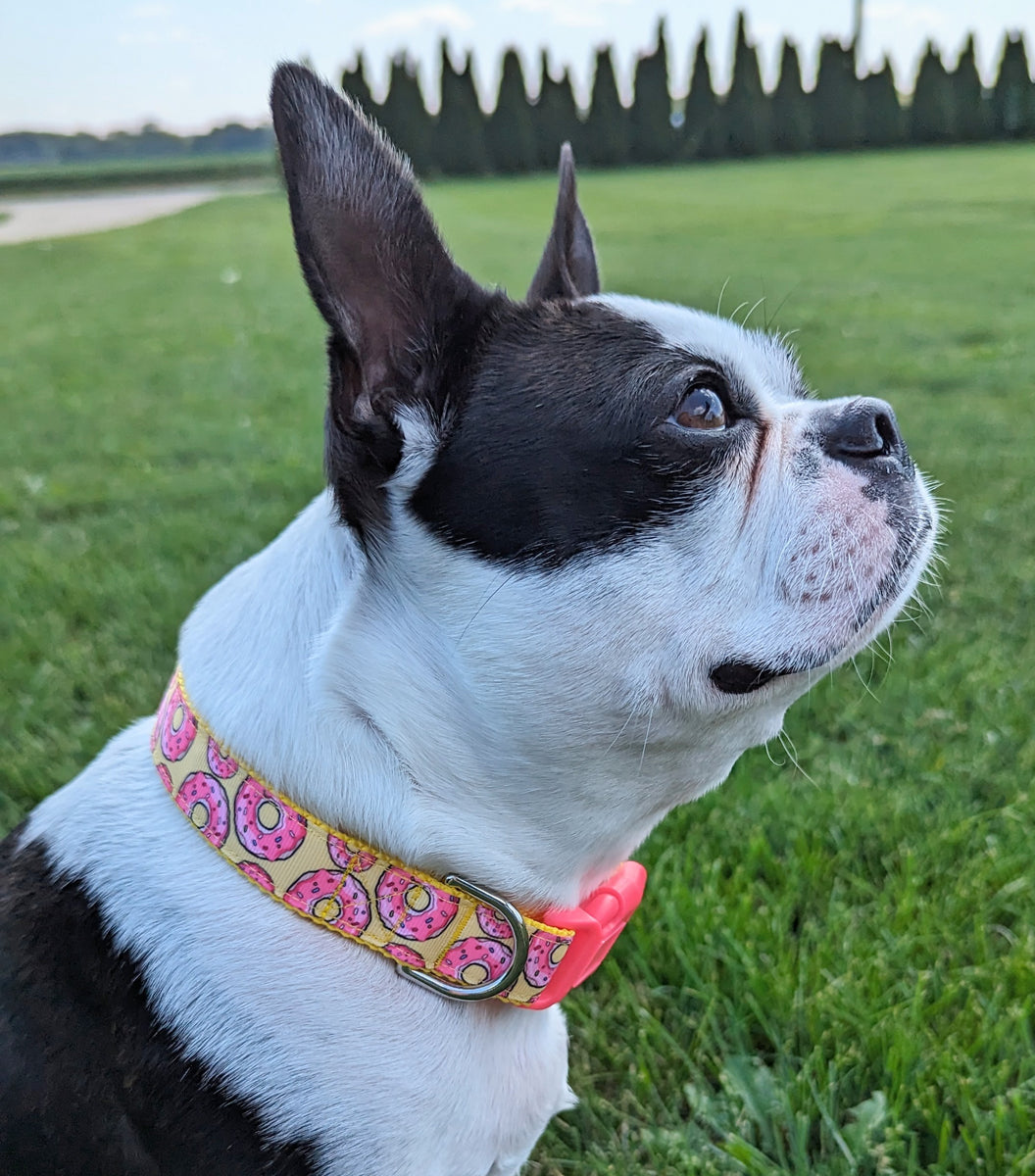Pink Frosted Donut Dog Collar – Rogue Collars