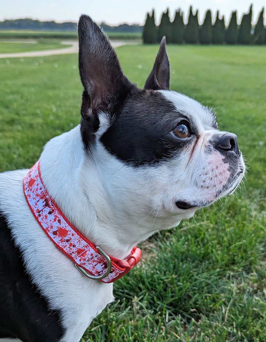 Blood Splatter Dog Collar – Rogue Collars