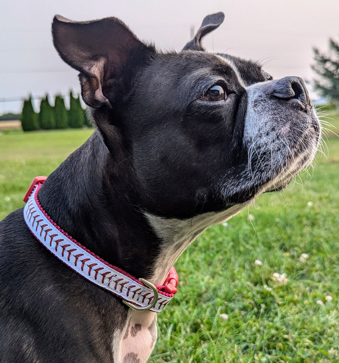 Baseball Stitches Dog Collar [NEW Version] – Rogue Collars