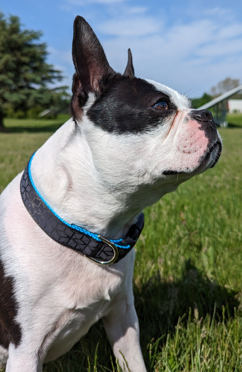 Stealth Rainbow Reflective Dog Collar – Rogue Collars