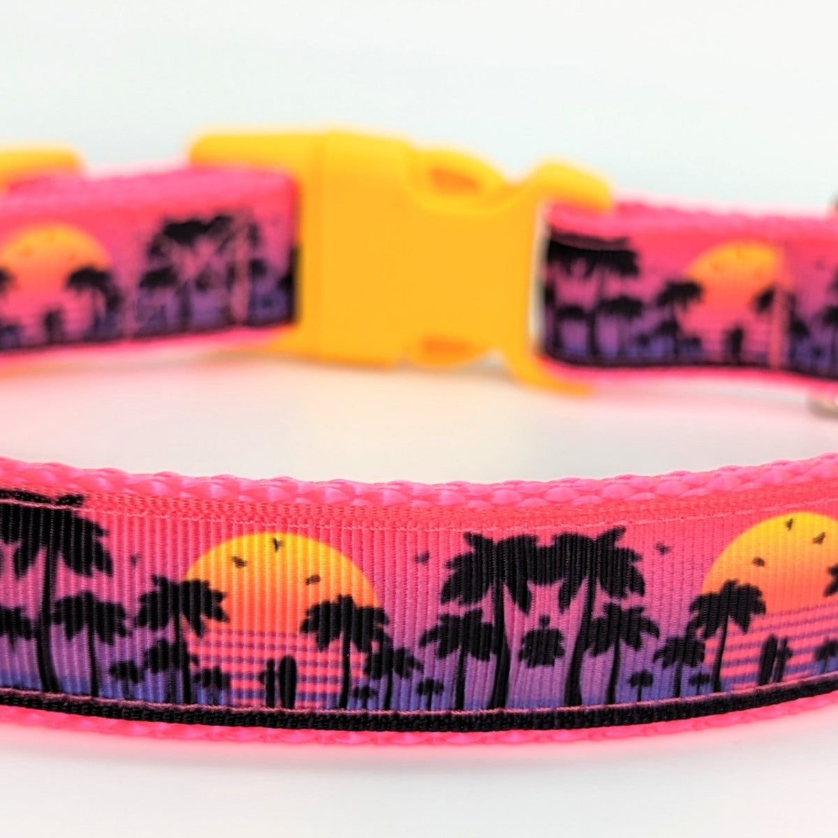 Miami Beach Sunset Dog Collar – Rogue Collars