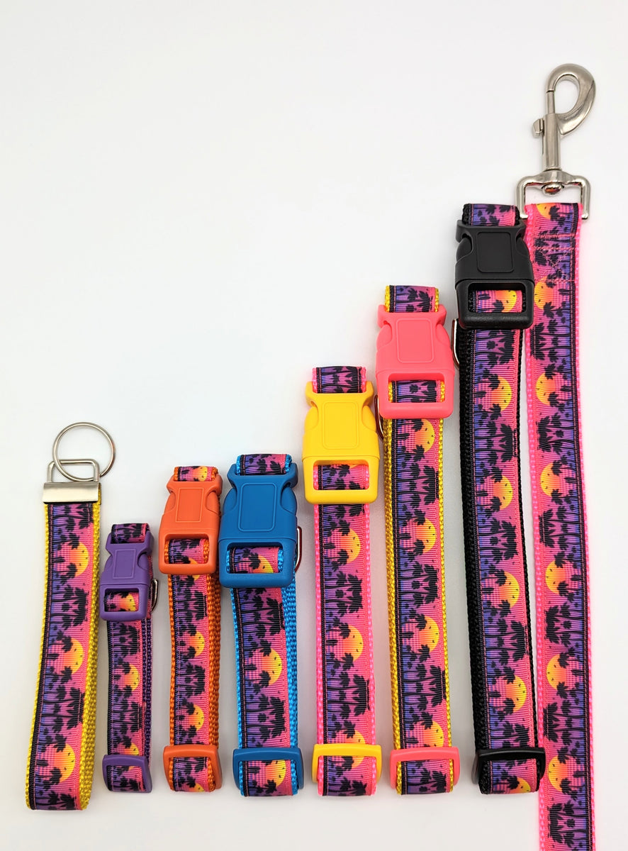 Miami Beach Sunset Dog Collar – Rogue Collars