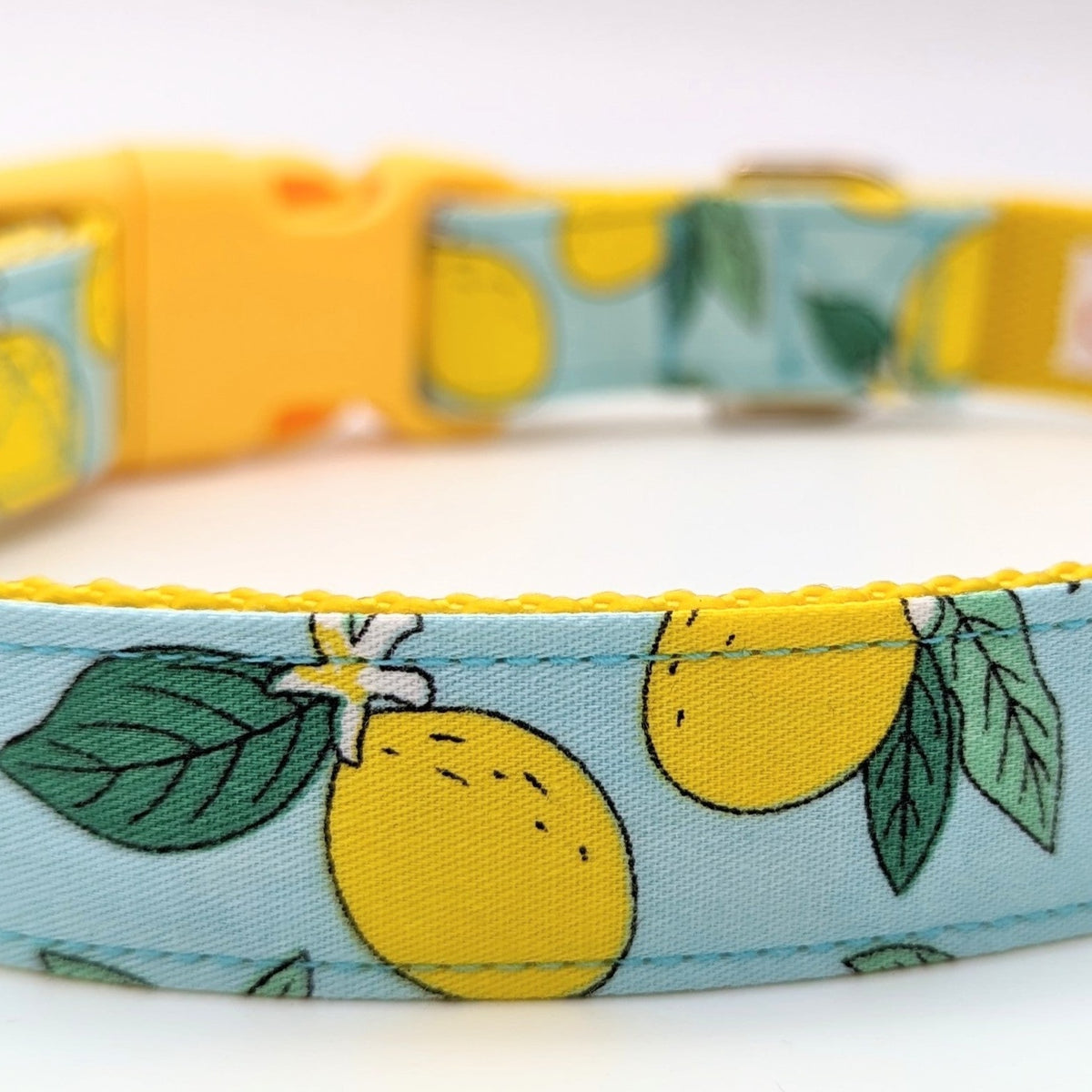 Lemon Tree Dog Collar – Rogue Collars
