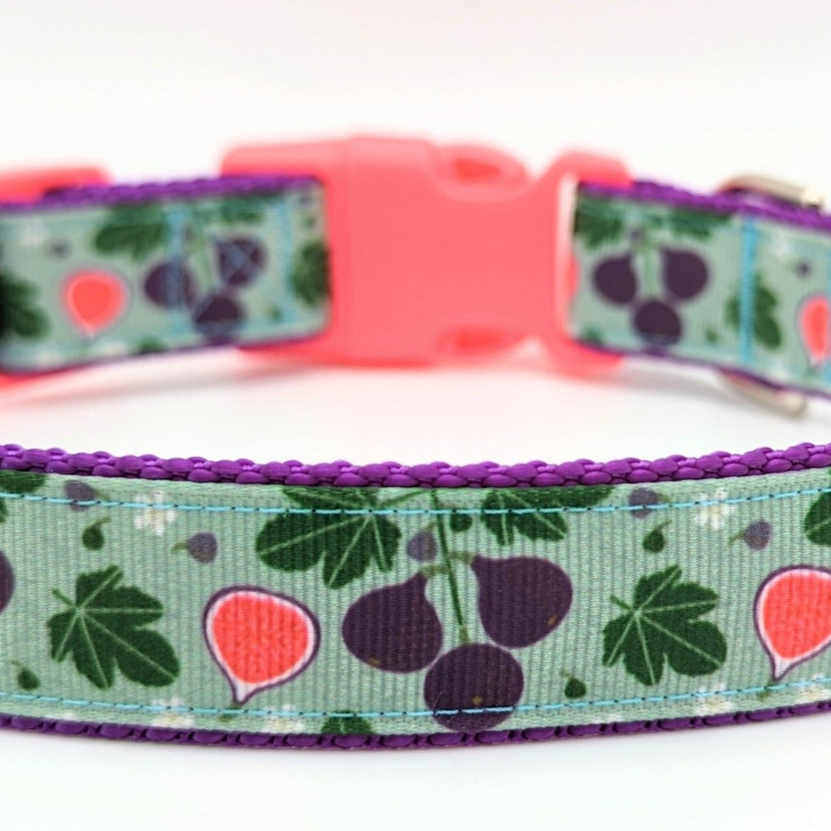Fig Dog Collar – Rogue Collars