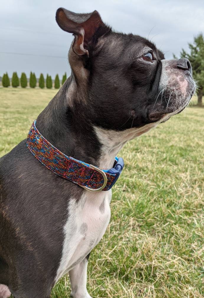Rainbow Sparkle Dog Collar – Rogue Collars